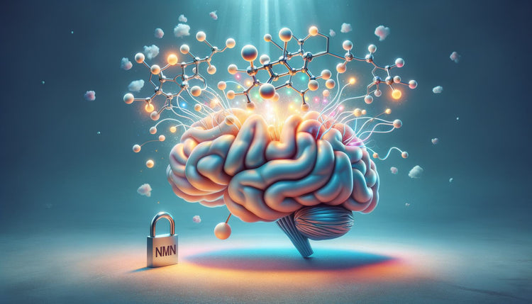 Unlocking Cognitive Benefits: NMN for Brain Function and Memory Improv ...